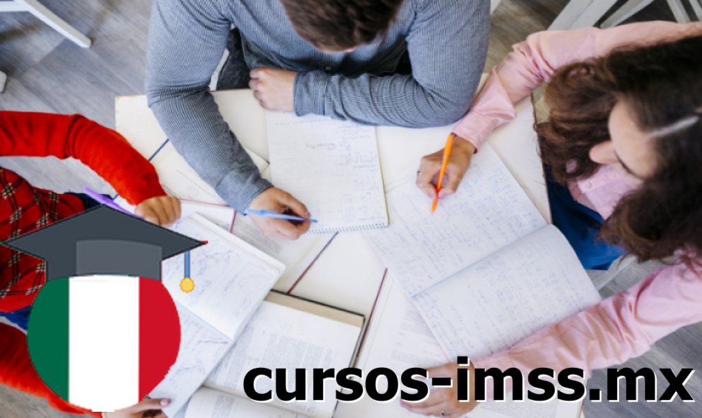 Cursos IMSS