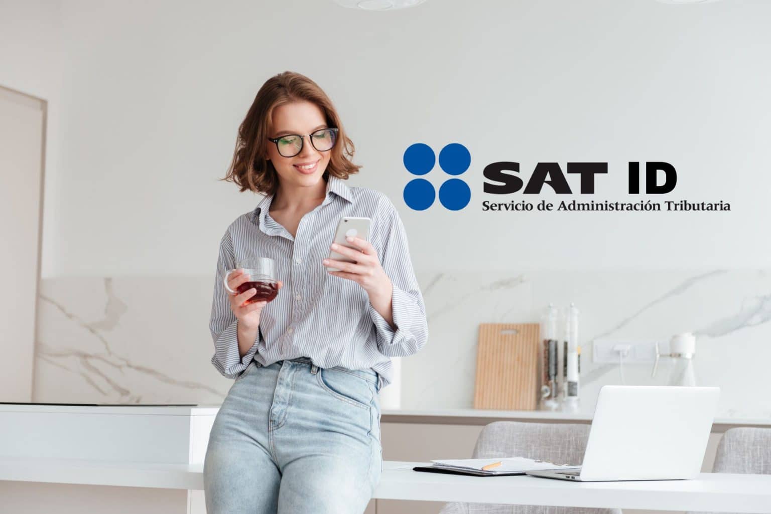 SAT: Qué es y cuáles son sus funciones - Cursos IMSS